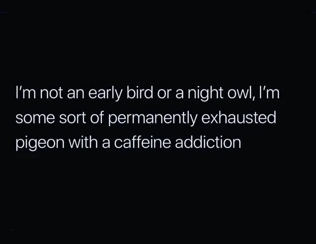 Insomnia Memes That Hit Harder Than Your Next Melatonin