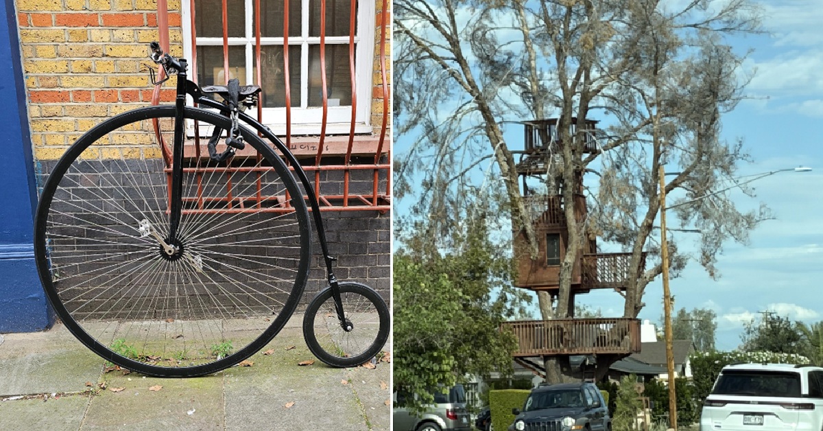 Life Can Be Dull... But These Things Are Interesting