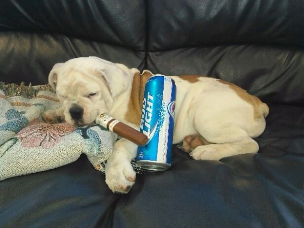 CHEERS to the Weekend!