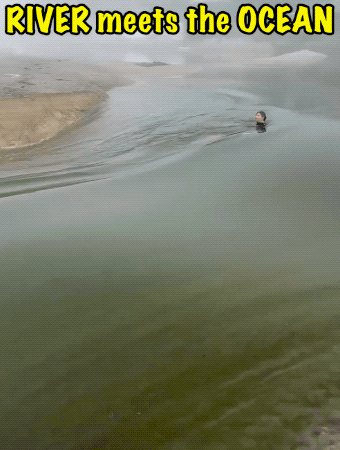 GIFs sing Everything is Awesome with Funny Wins and WTF Amazing Skills