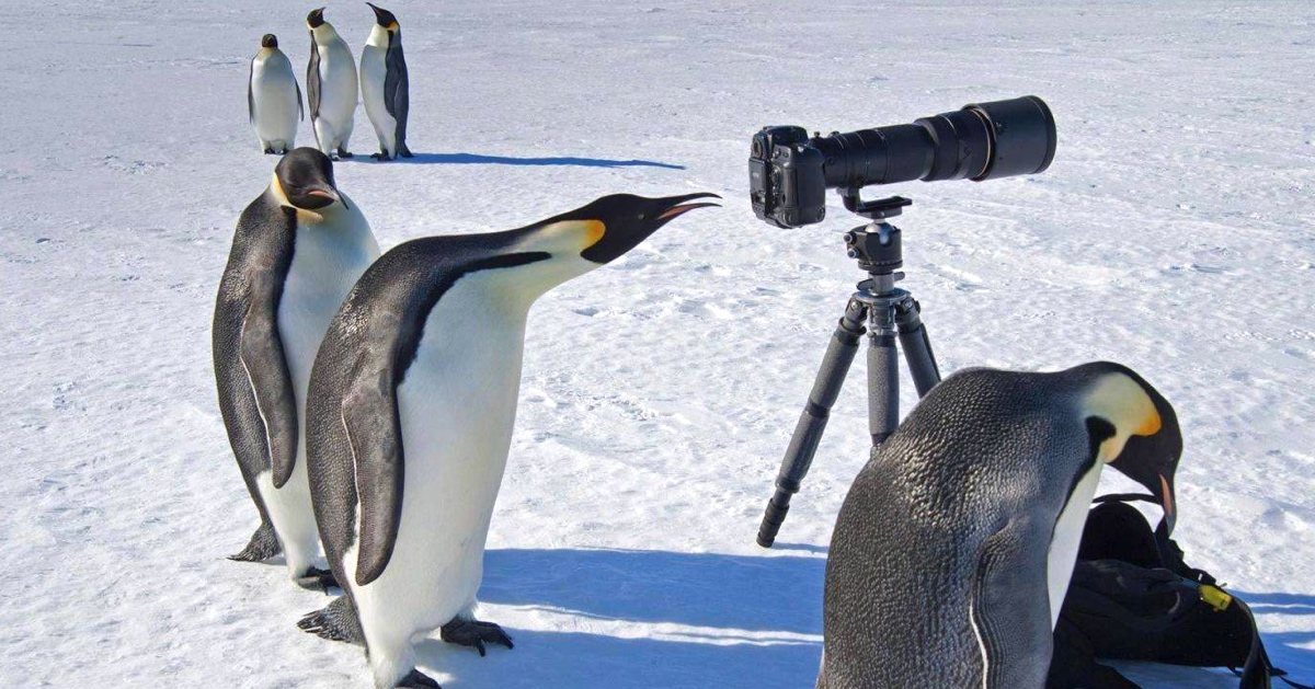 Daily Afternoon Randomness | Random Memes, Photos & Gifs - theCHIVE