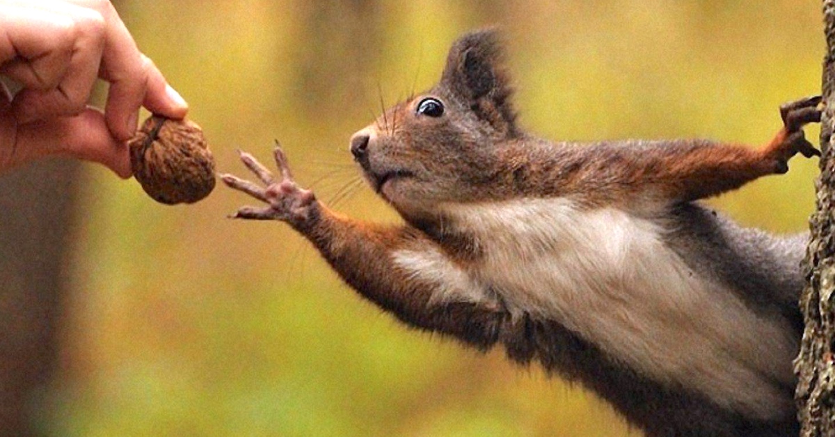 Daily Afternoon Randomness | Random Memes, Photos & Gifs - theCHIVE