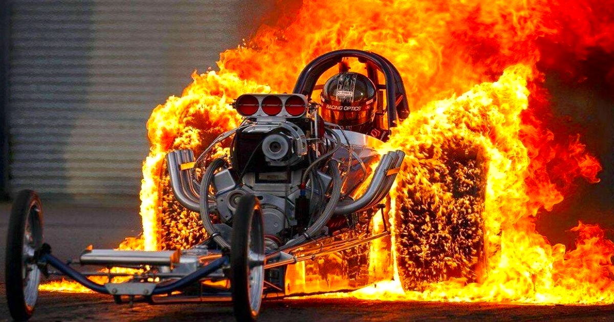 Daily Morning Awesomeness | Awesome Morning Pics, Gifs & More - theCHIVE