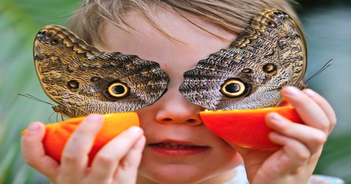 Daily Morning Awesomeness | Awesome Morning Pics, Gifs & More - theCHIVE