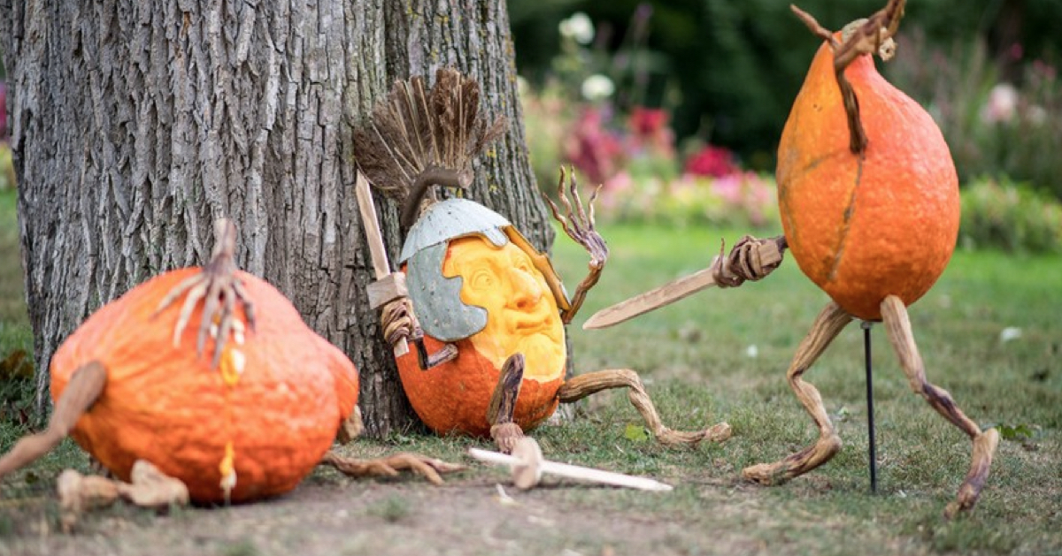 theCHIVE - Funny Photos, Memes & Videos – theCHIVE.com