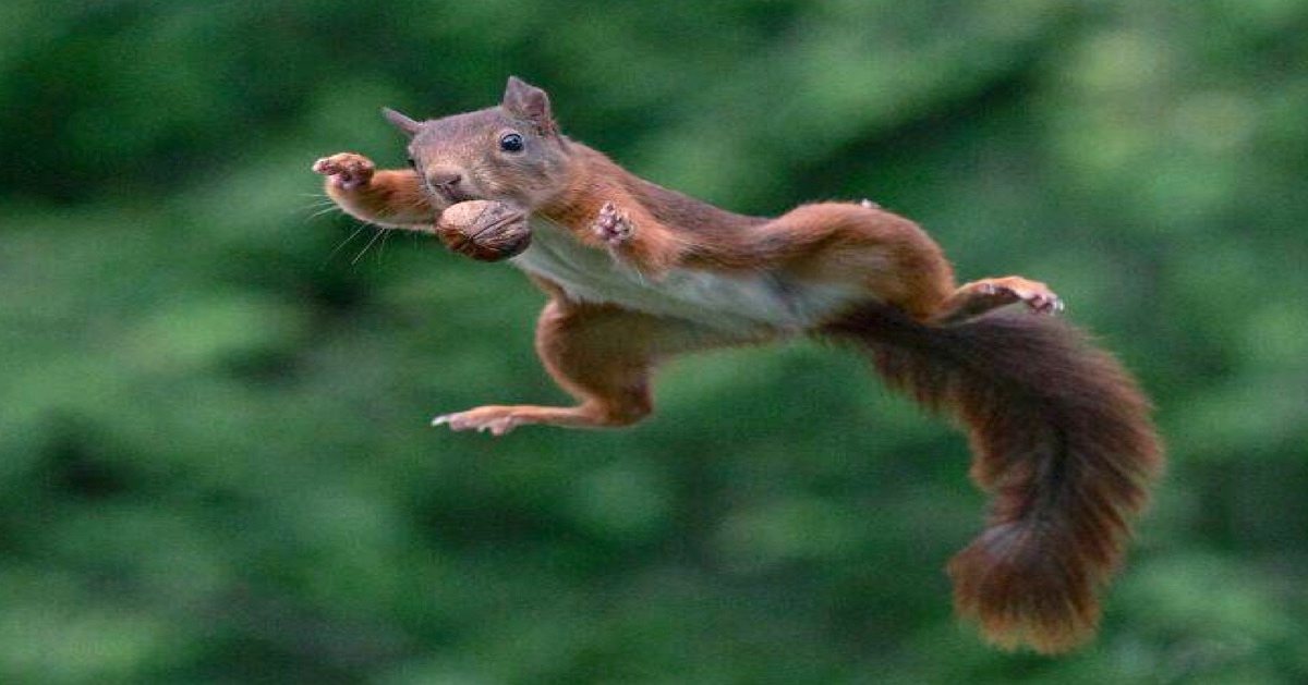 theCHIVE - Funny Photos, Memes & Videos – theCHIVE.com