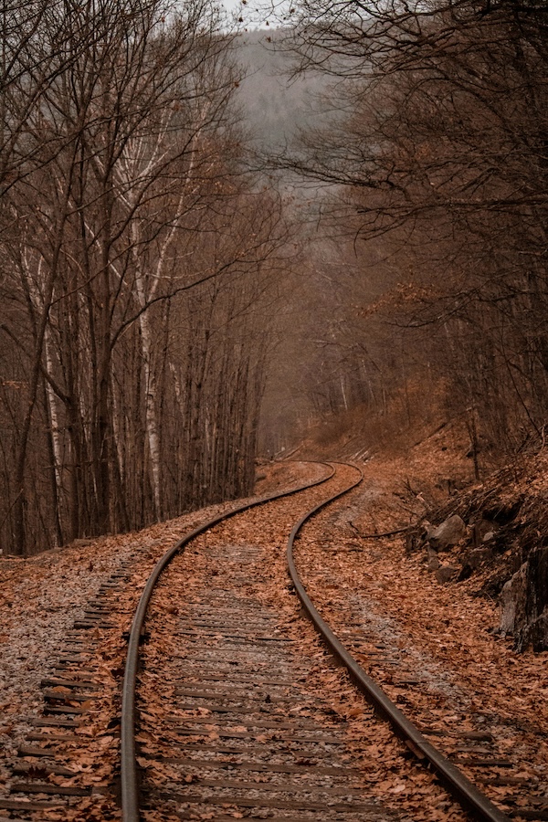 HD Foliage Pics That Have Us in Our Fall Feels