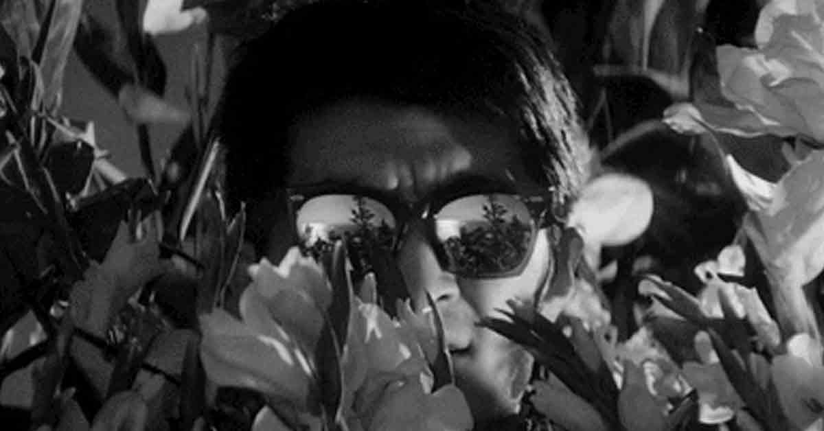 Cinematic GIFs That Make You Want to Watch the Movie