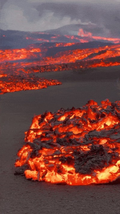 GIFs that kept GIF-ing all damn week
