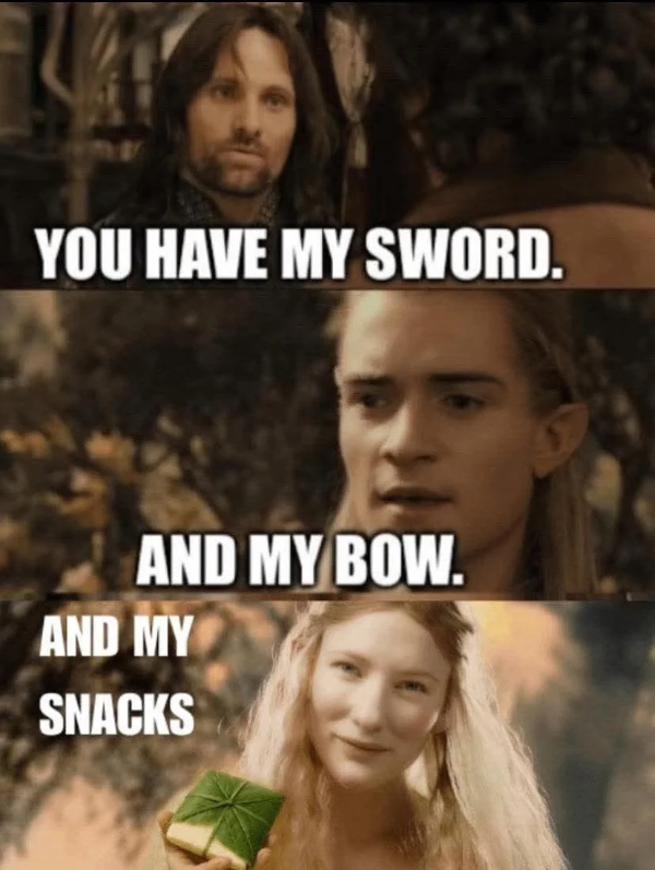 You Have My Sword, My Bow, and These LOTR Memes
