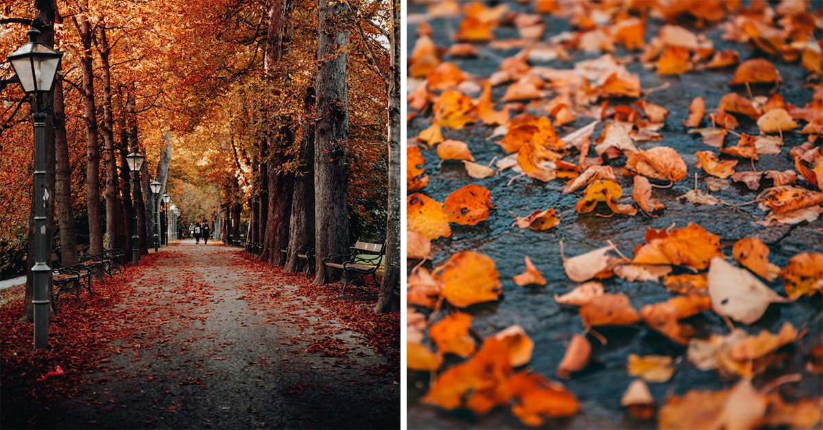 HD Foliage Pics That Have Us in Our Fall Feels