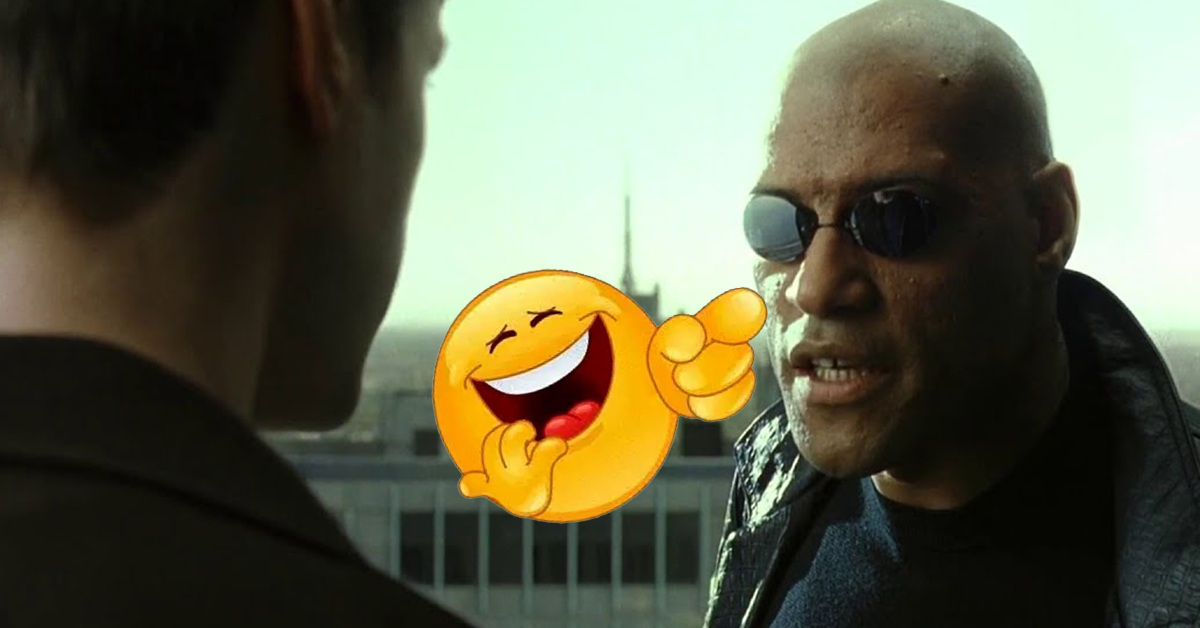Funny Gifs | Best Gifs Ever - theCHIVE