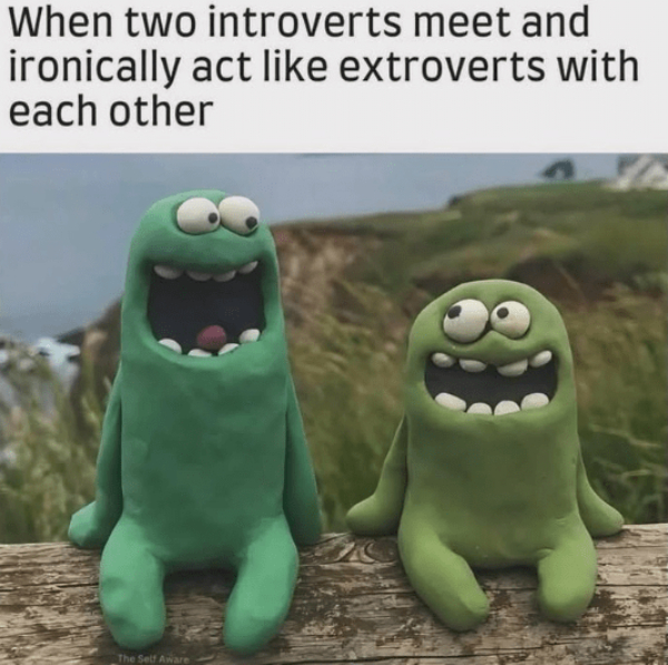 Introvert Memes to Laugh at With No One Else Around!