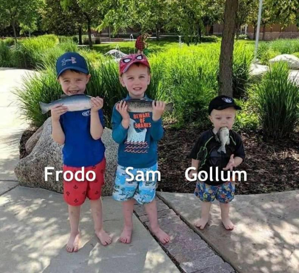You Have My Sword, My Bow, and These LOTR Memes