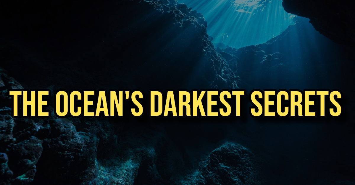 Deep-Sea Creatures That’ll Haunt Your Dreams