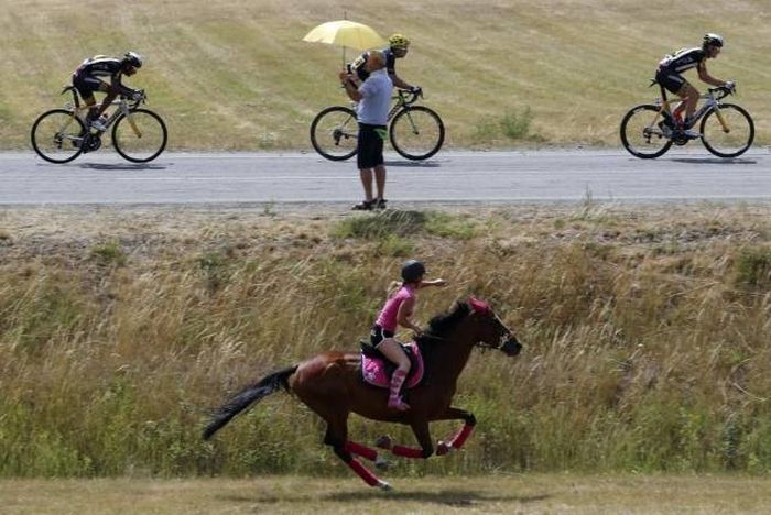 Daily Afternoon Randomness Best Funny Photos Top WTF Pictures DAR