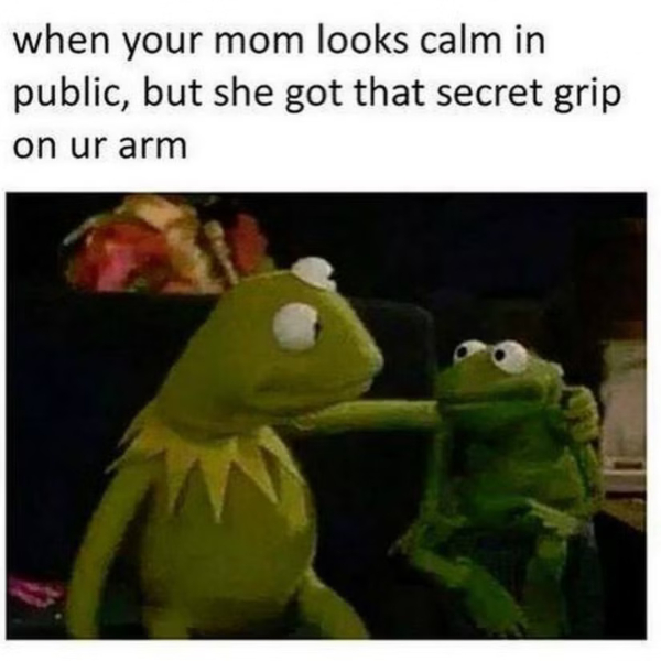 Mahna Mahna: Muppet Memes!