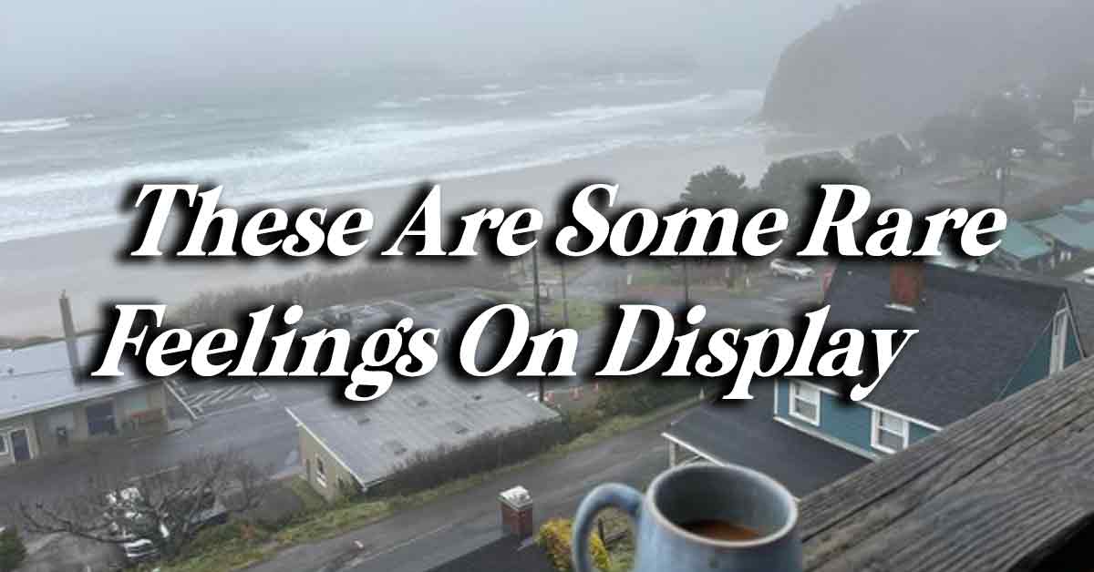 These Are Some Rare Feelings On Display - MSNBCTV