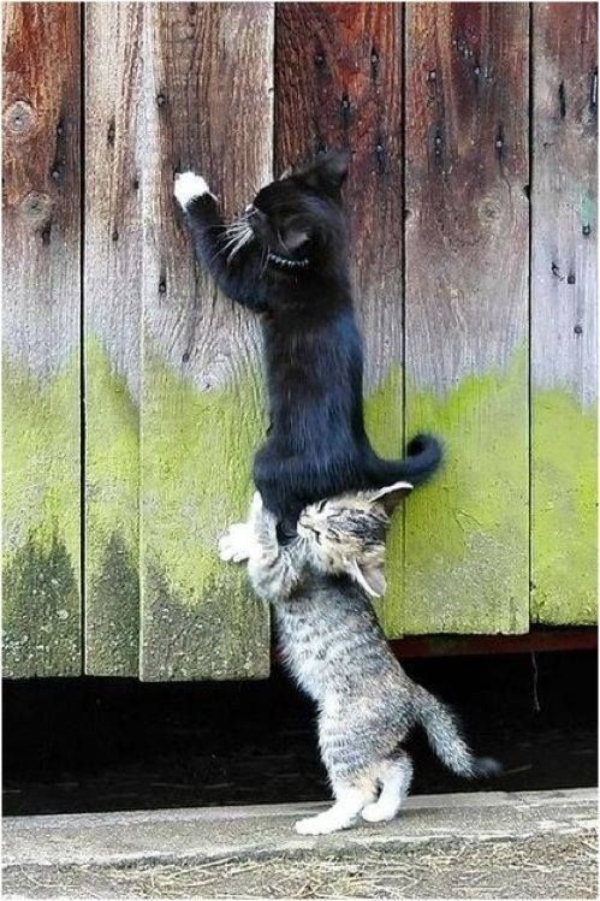 We Could All Use A Helping Hand...