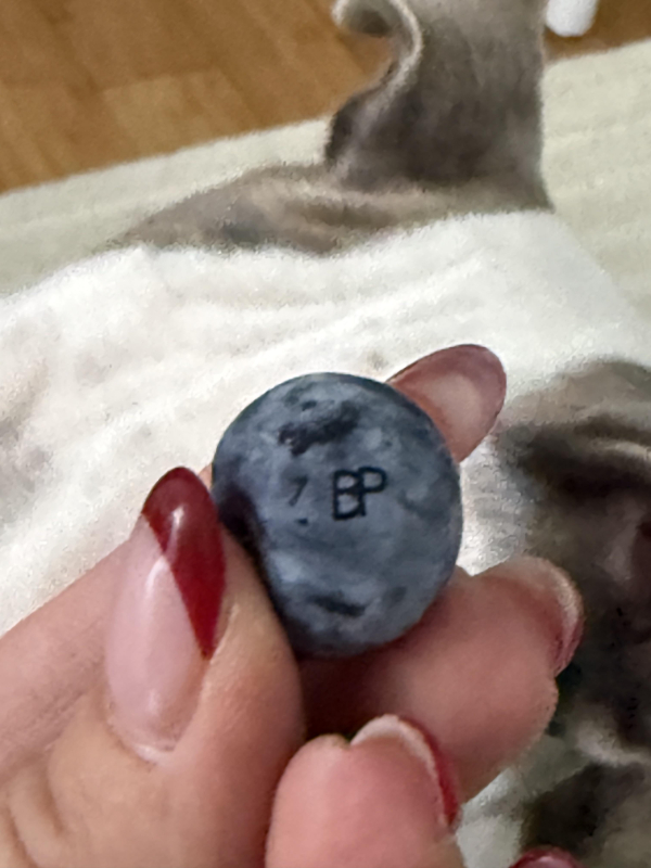 A Handful of Interesting/Awesome Things