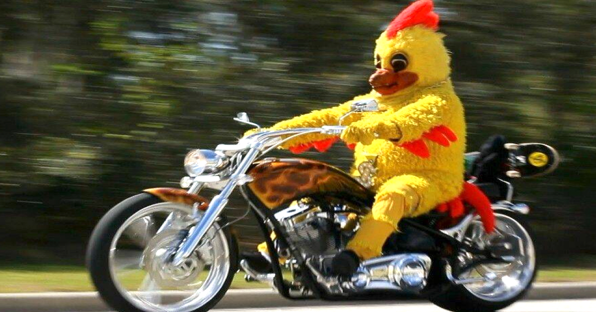 Daily Afternoon Randomness | Random Memes, Photos & Gifs - theCHIVE