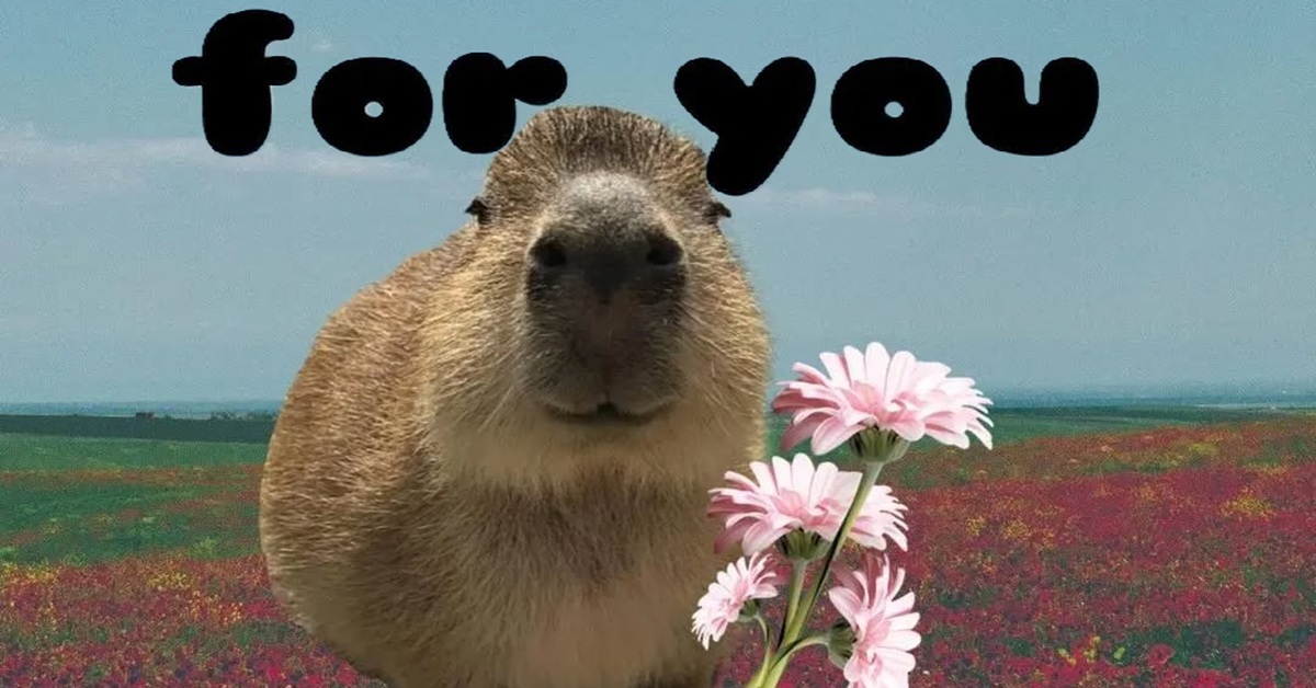 Meet the Animal That’s Literally Friends With Everyone