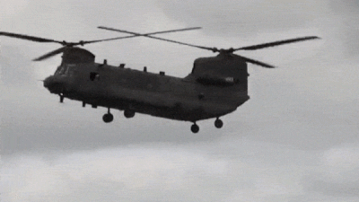 GIFs that kept GIF-ing all damn week