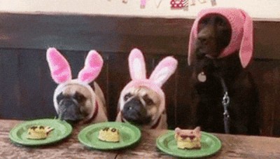 GIFs that kept GIF-ing all damn week