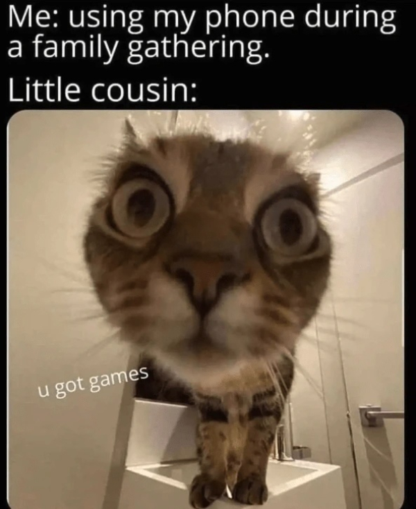 Relatable Family Memes, Because All Families Are Seemingly the Same