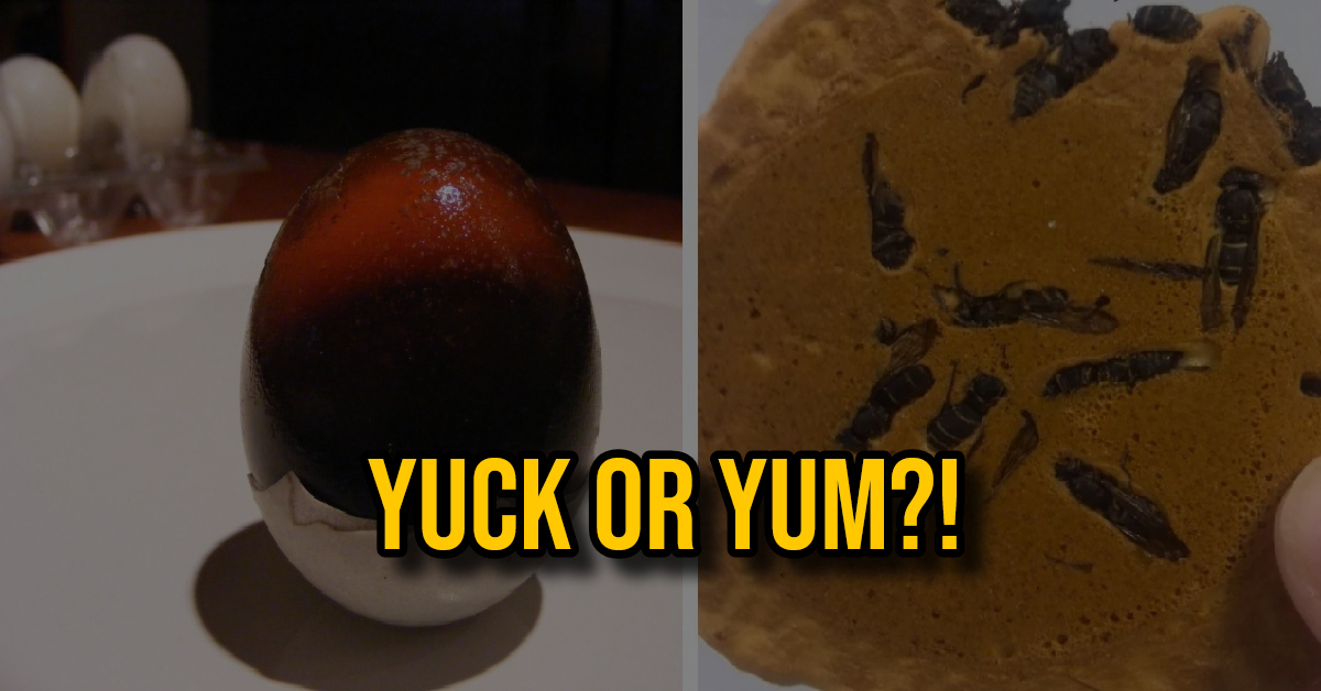I'm Not Hungry Anymore... 12 Weird Foods from Around the World!