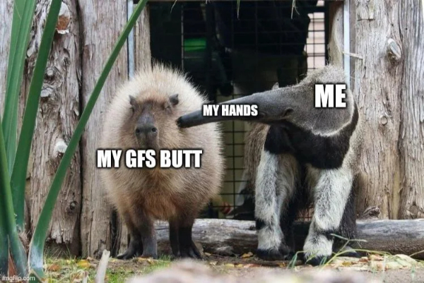 ***Post a MEME Thread*** | Page 5506 | Yellow Bullet Forums