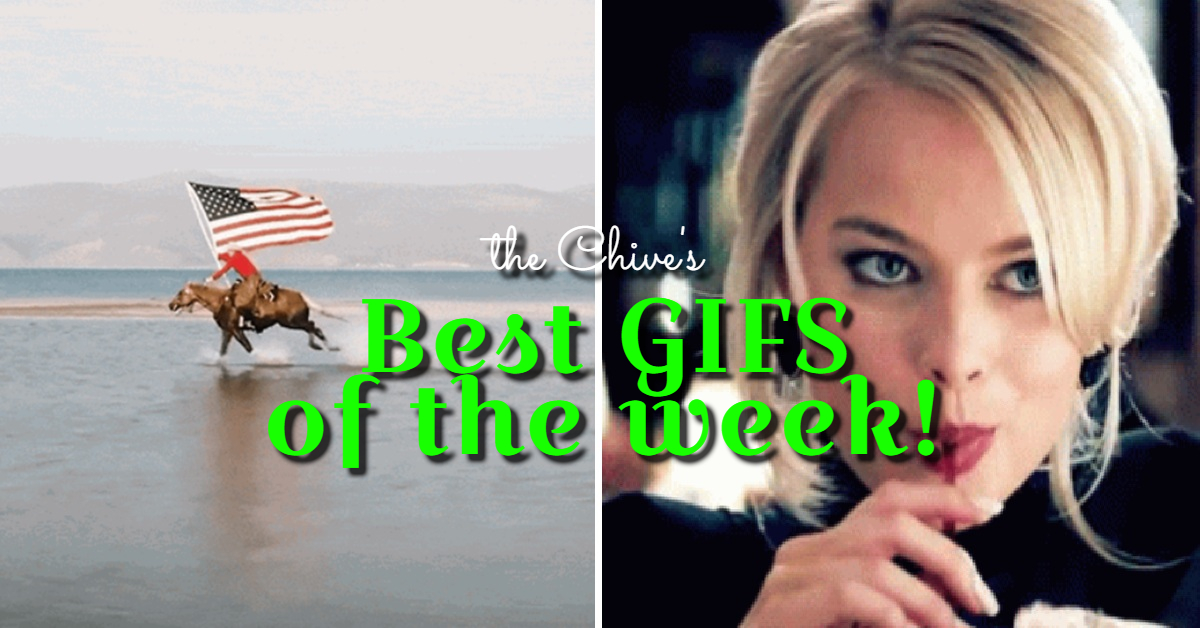 Funny Gifs | Best Gifs Ever - theCHIVE