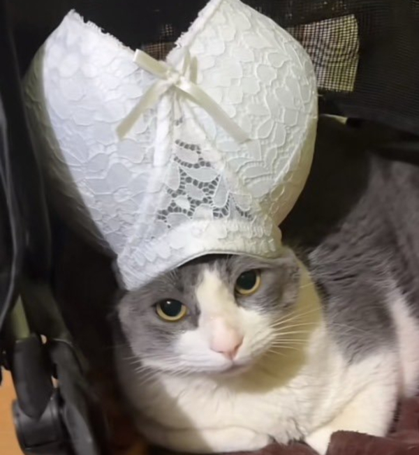 WTF Wednesday Keeps Things Interesting