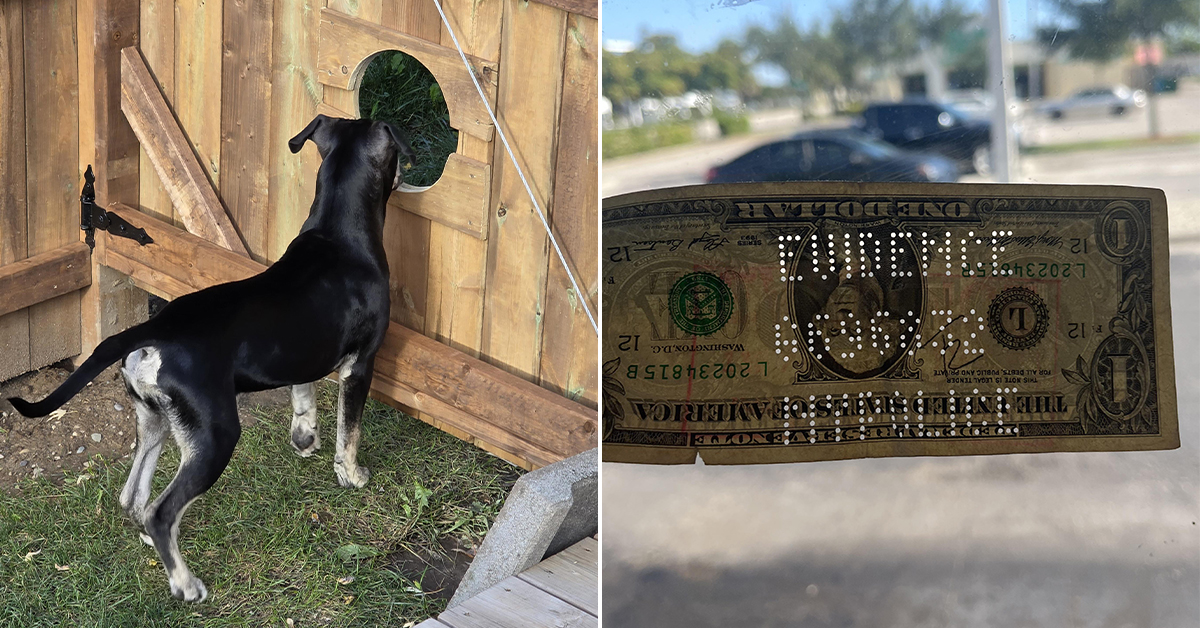 We All Know That You Want to See These Interesting Things