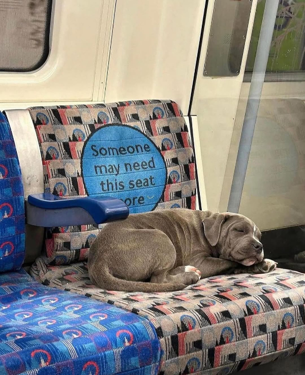 Sunday Morning Coffee