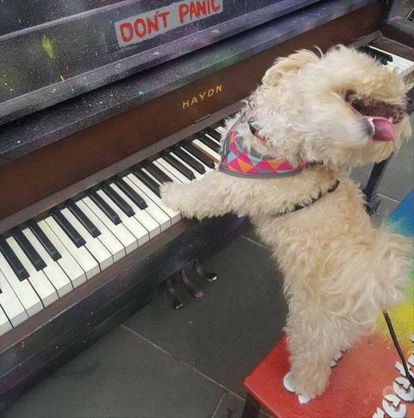 Daily Morning Awesomeness Best WTF Funny Pics and Amazing Randomness