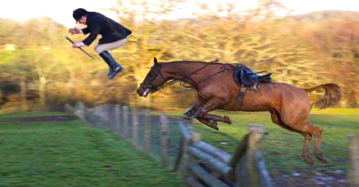 Daily Morning Awesomeness Best WTF Funny Pics and Amazing Randomness