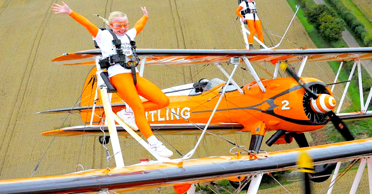 WTF Memes | Funny WTF GIFs, Videos, & More - theCHIVE