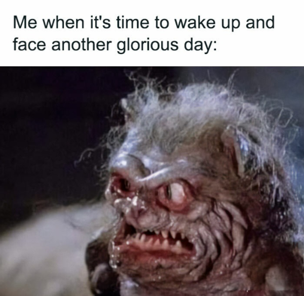Morning Memes For Those Who Don't Do Mornings