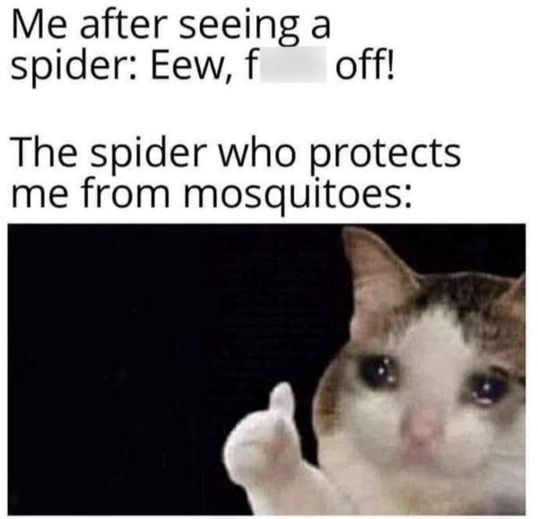 Monday Morning Memes