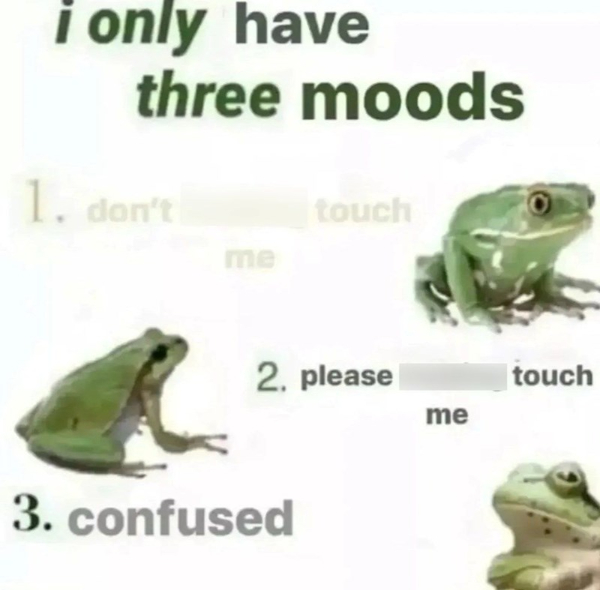 Monday Morning Memes