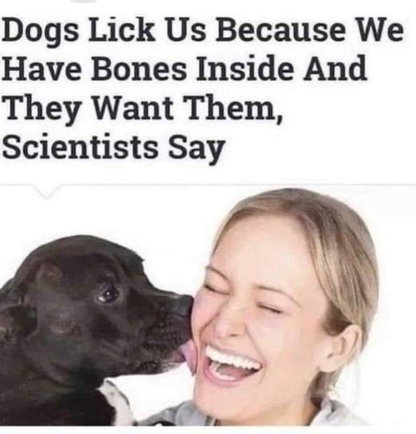 Monday Morning Memes