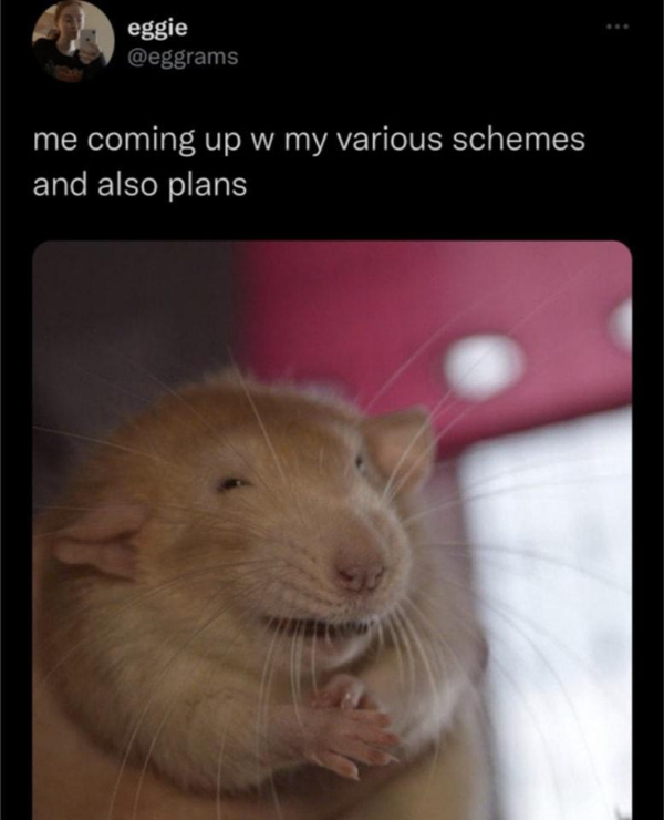 Monday Morning Memes