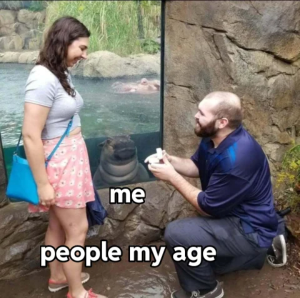 Top Notch Dank Memes of the Week!