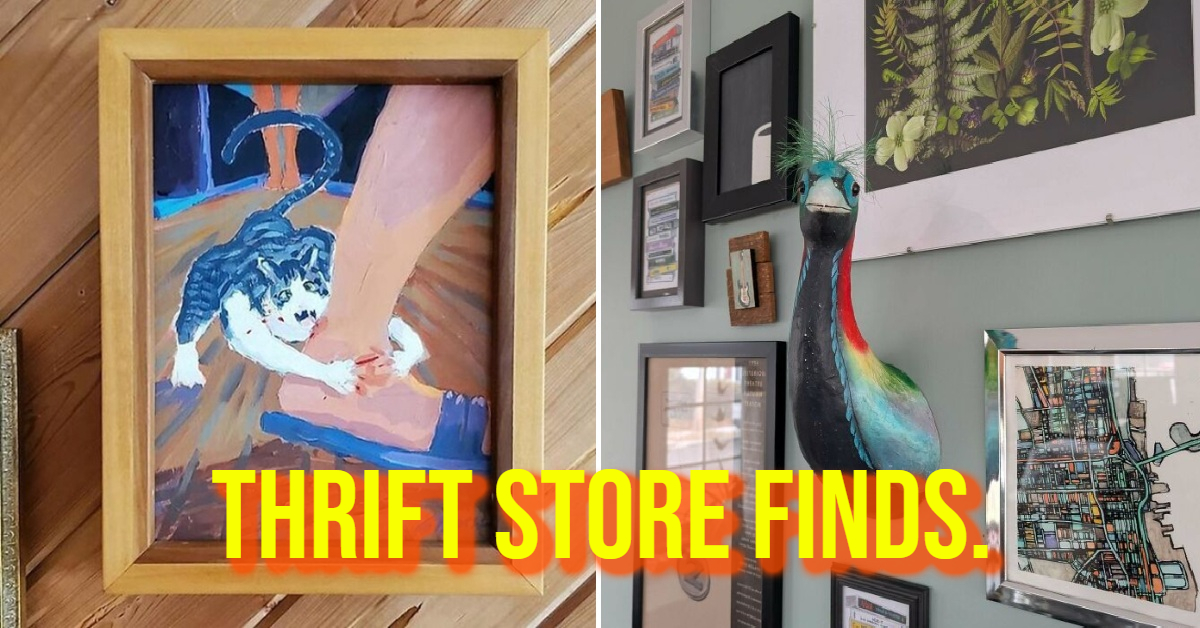 The Thrift Shop is a Wild Place...