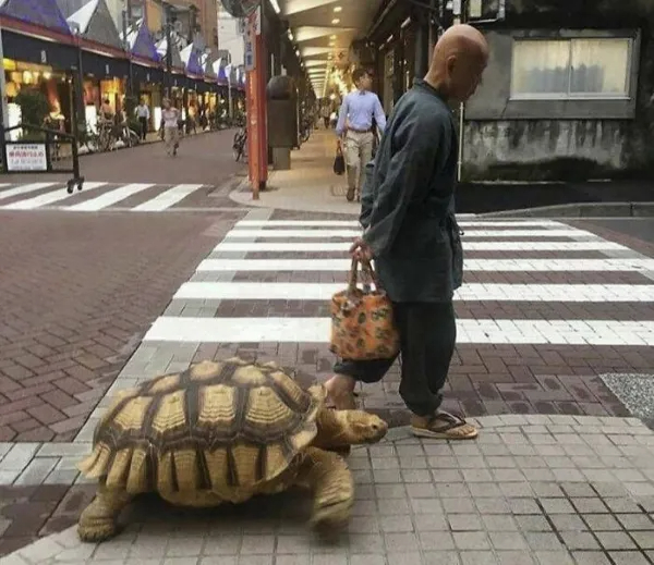 Best Photos of the Week!