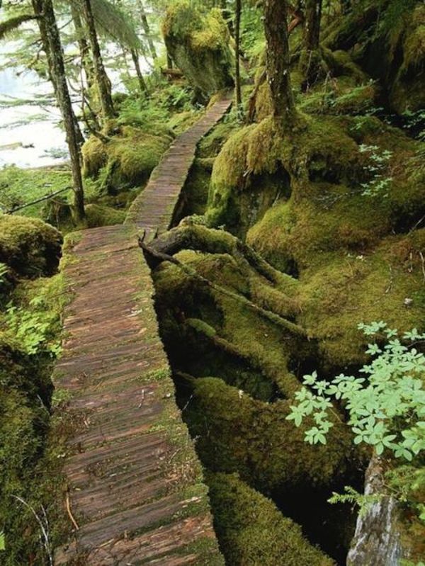 Weekend Afternoon Randomness Best Interesting and WTF Funny Photos