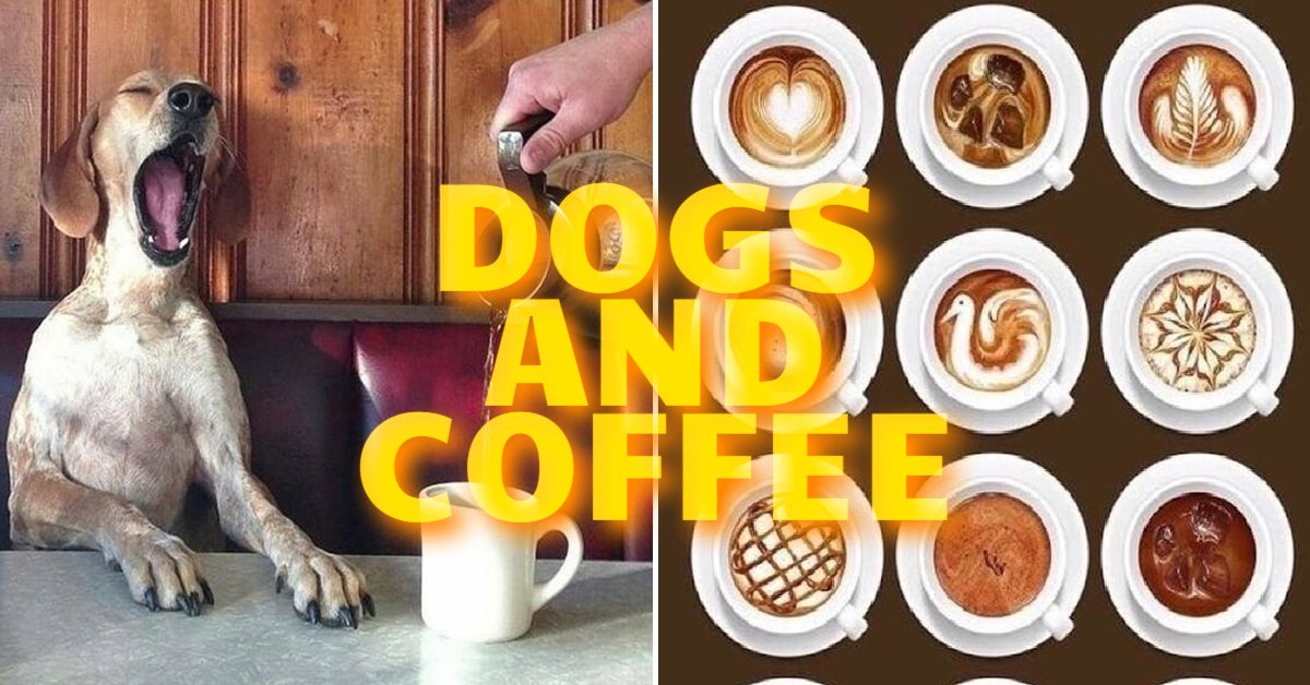 Wake Up With Dogs and Coffee!!!