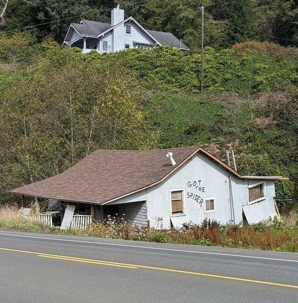 Daily Afternoon Randomness (49 Photos)