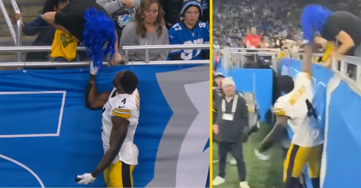 Wild Altercation Between DK Metcalf and Lions Fan Amidst Chaotic Game